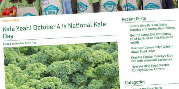 Article: National Kale Day - Dish Works