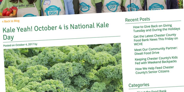 Article: National Kale Day - Dish Works