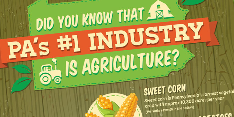 Infographics: Smart AND Pretty - Dish Works